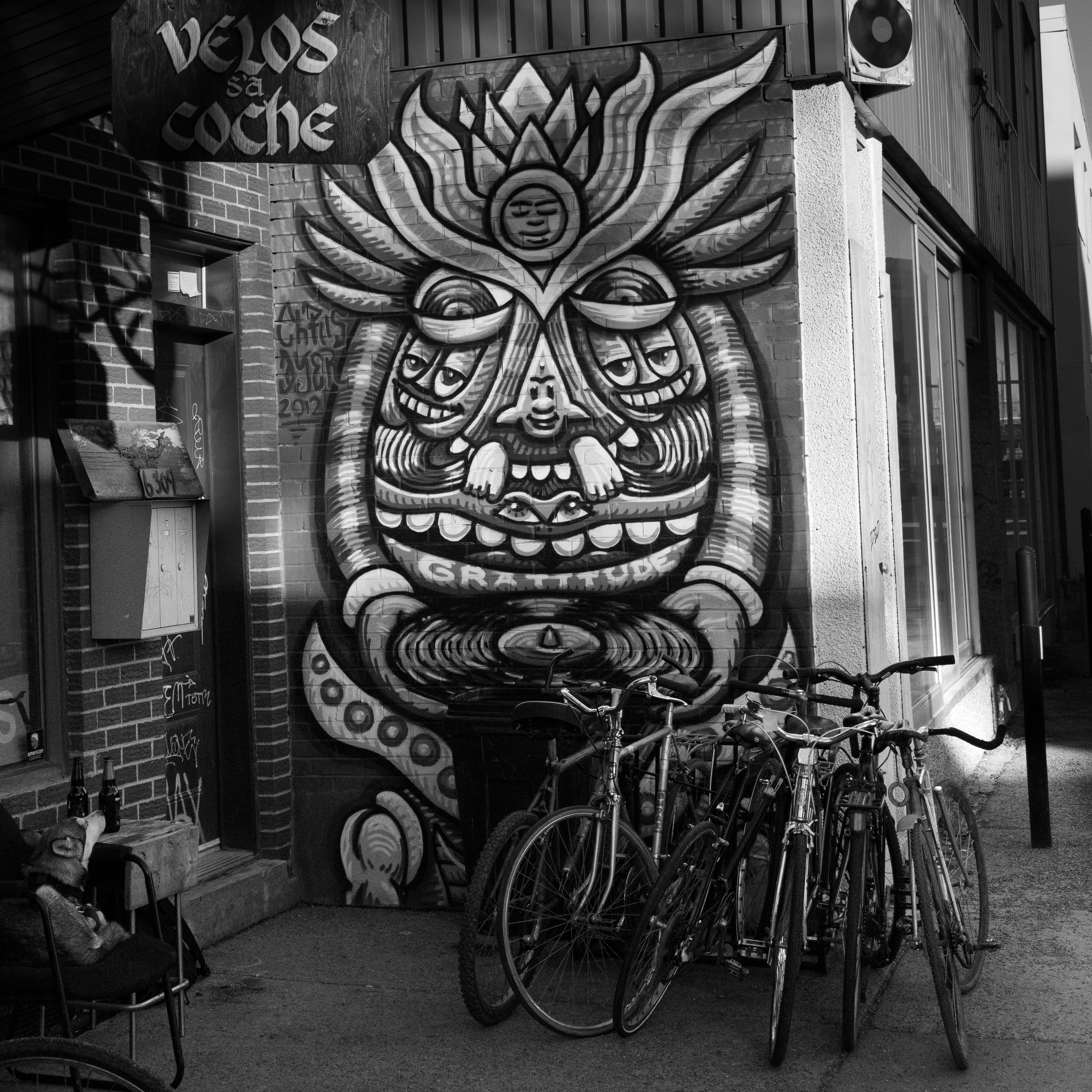 The Art of Photography – Considered Normal